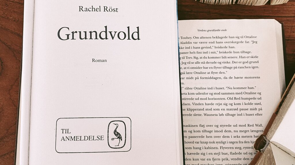 Anmeldelse: Grundvold af Rachel Röst | litfix